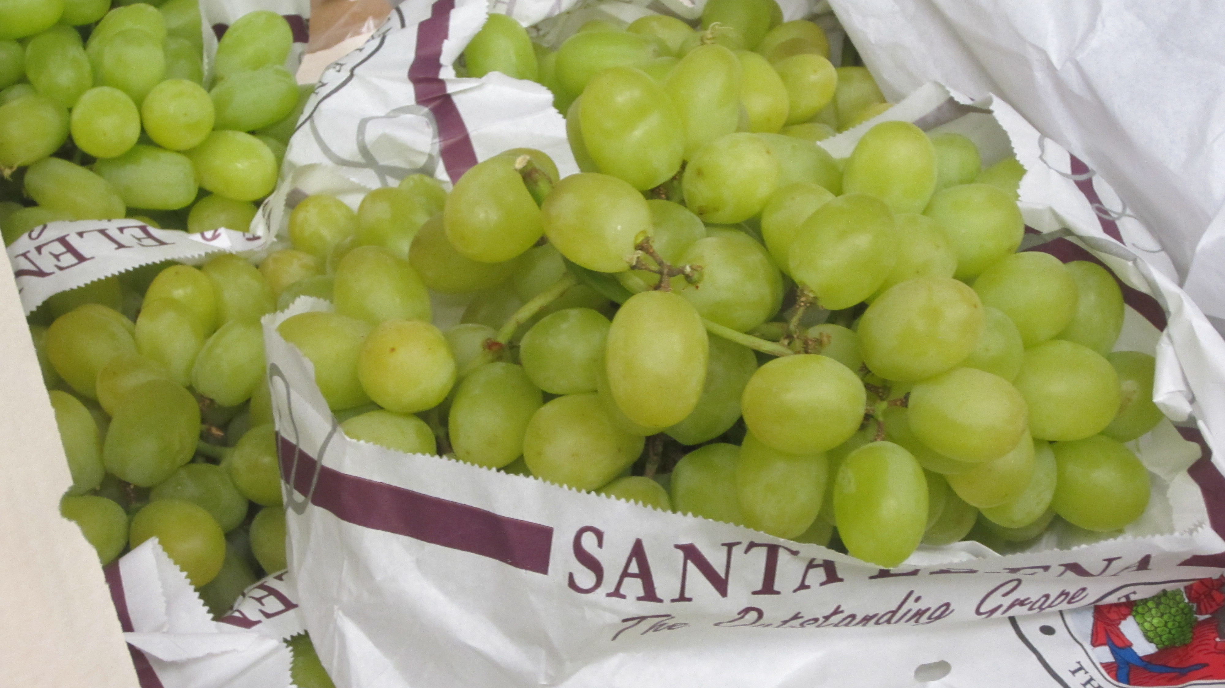 Chile – Fresh Fruit Company