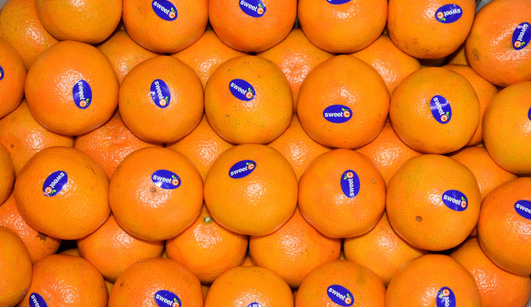 Fresh Fruit Company – Im Fruchthof zu Hause – direkt am Puls des Handels